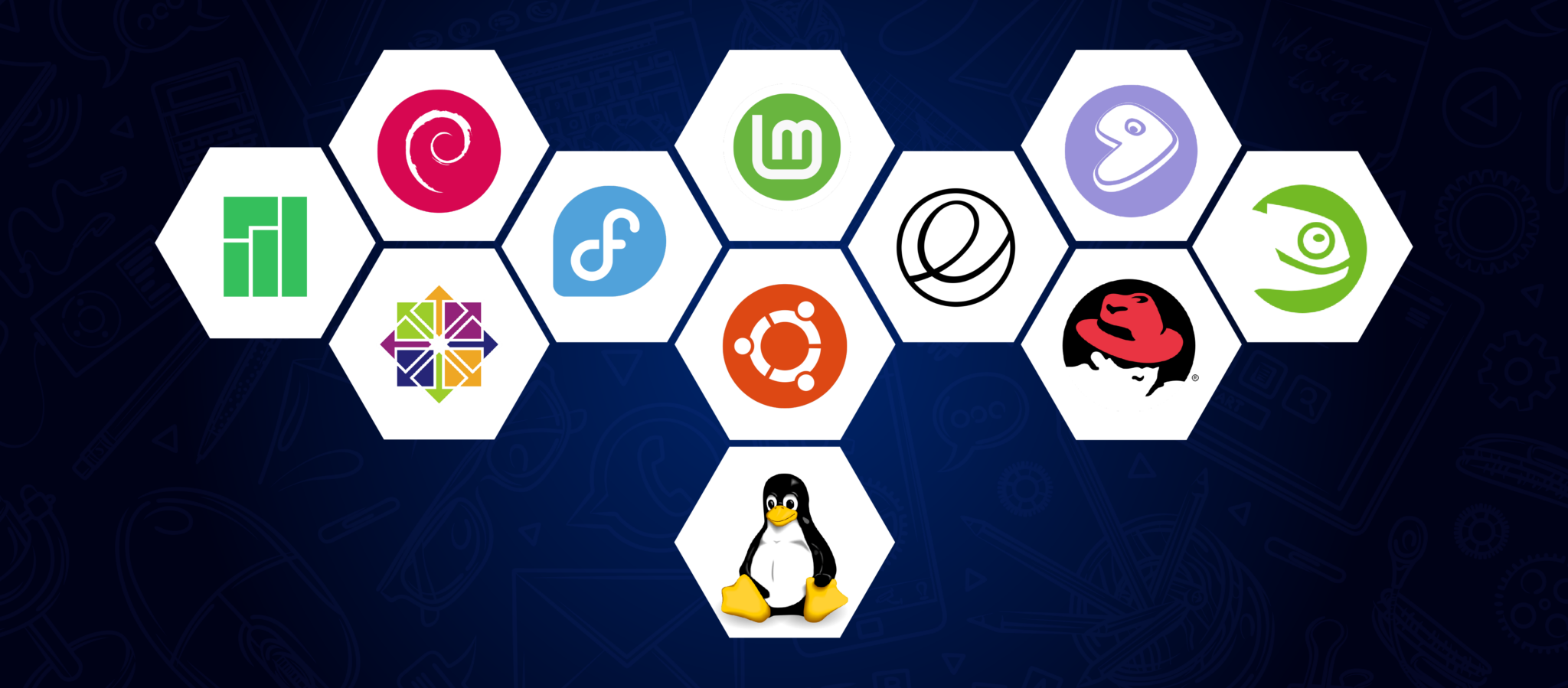 Mengenal Linux: Definisi, Manfaat, dan Pilihan Distribusi - CODEPOLITAN